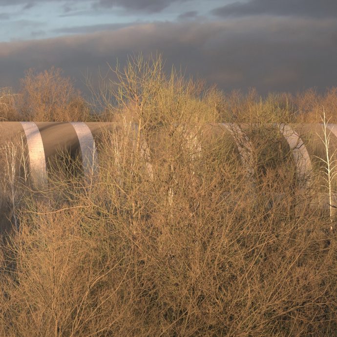 Sheephouse Wood Bat Protection Structure - HS2