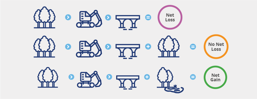 HS2 and biodiversity - HS2